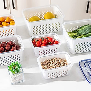 Yiser Double Layer Draining Basket Fresh Keeping Box Kitchen Supplies Sealed Box Plastic Fresh Keeping Box Refrigerator Fruit Storage Sticky Rice Basket (A, One Size)