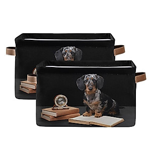 ALAZA Funny Dachshund Dog Black Foldable Storage Box Storage Basket Organizer Bins with Handles for Shelf Closet Living Room Bedroom Home Office 1 Pack