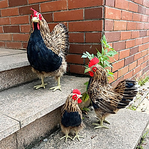 LWINGFLYER Artificial Feather Hen Chicken Statue Ornaments DIY Craft for Home Wedding Easter Decoration Farm Garden Decor Figurines Party Decor Teaching Props (S)