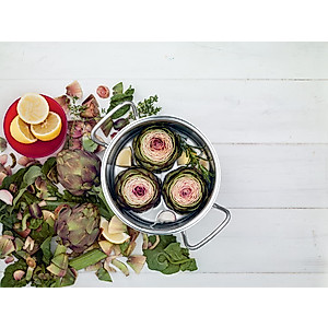 Fissler Original-Profi Collection 2019 Stainless Steel Stock Pot with Lid - 10.9 Quarts