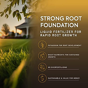 Root Organic Lawn Fertilizer - Grass Fertilizer for Lawn with Potassium for Root Growth, Lawn Fertilizer That Conditions Soil, No Harsh Chemicals Lawn Care, 32 oz Lawn Food for 5,000 sq. ft.