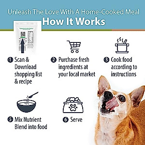 JustFoodForDogs DIY Human Quality Dog Food, Nutrient Blend Base Mix for Dogs - Chicken and White Rice Recipe (7.93oz) -Packaging May Vary