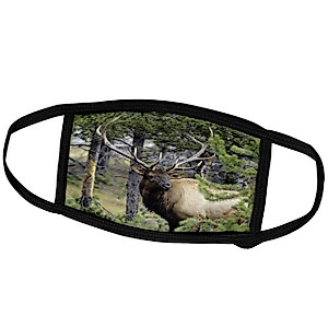 3dRose Face Mask Large, Varies