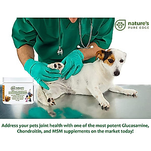 Powerful PET Hip & Joint - with Organic Turmeric - Natural Ingredients - Triple Strength - Chondroitin - Glucosamine - MSM - Organic Sea Coral Calcium. Extra Large 170 Grams.