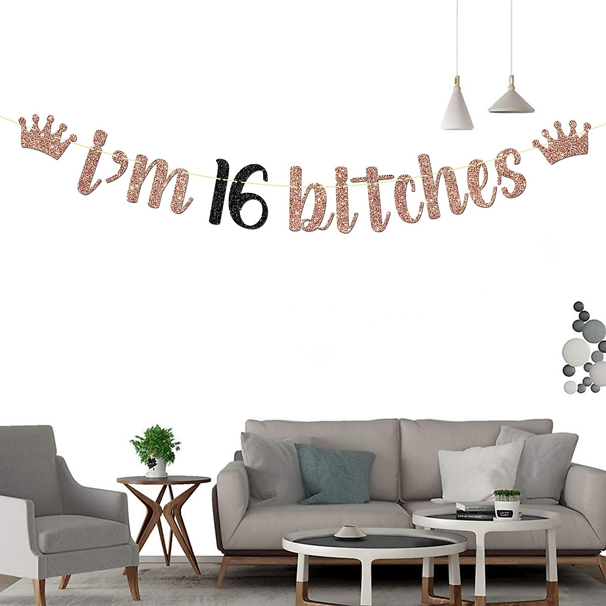 Rose Gold Glitter I’m 16 Bitches Banner - Happy 16th Birthday Banner - Girl's 16th Birthday Party Decorations - Sixteen Years Old Birthday Banner