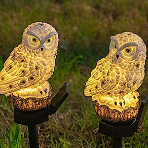 DAZZLE BRIGHT 2 Pack Owl Figure Solar LED Lights, Resin Garden Waterproof Decorations with Stake for Outdoor Yard Pathway Outside Patio Lawn Decor to Scare Birds Away