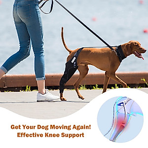 DGYAO Dog Knee Brace for ACL, Knee Cap Dislocation, Arthritis - Full Wrap - Easy Adjustable - Extra Support - Reduces Pain and Inflammation – Full Sizes