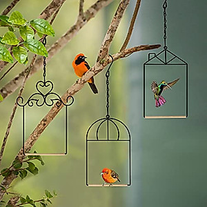 XYADX Metal Frame Hummingbird Swings and Perches with Wooden Dowel Black Bird Swing Outdoor Bird Perch Humming Bird Swing Pack of 3