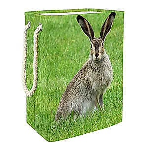 DEYYA Waterproof Laundry Baskets Tall Sturdy Foldable Wild Rabbit Bunny Hare Nature Grassland Print Hamper for Adult Kids Teen Boys Girls in Bedrooms Bathroom