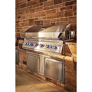 Napoleon BIG44RBNSS Built-in 700 Series BBQ Grill Head 44 Inches, Stainless Steel