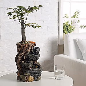 GOSSI Indoor Fountain Decorative 5-Tier Rockery Tabletop Fountains with a Small Plastic Pot to Grow The Plant by Yourself(Auto Watering)(22021)