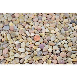 9 Lbs Large Salmon Bay Pebbles for Bonsai Tree Humidity Tray, Lucky Bamboo, Aquarium & Zen/Fairy Garden