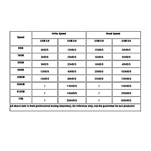 GARRULAX USB Flash Drive, 8GB/16GB/32GB USB 2.0 Memory Stick Data Storage Pendrive Creative Stocking Filler (16GB, Christmas Boots)