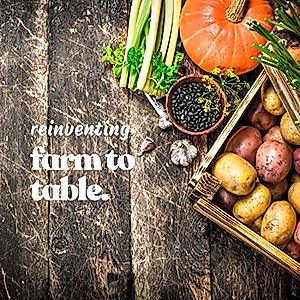 Grannys Garden Heirloom Vegetable Seed Collection - 15 Varieties Non-GMO Heirloom Beet Carrot Cucumber Basil Kale Lettuce Melon Onion Pea Pepper Squash and Tomato Seeds by Sustainable Seed Company