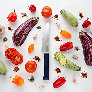 Opinel Intempora 6 Inch Chef Knife – Smaller Sized, Easy to Handle, Full Tang Construction, Ideal for Cutting, Chopping, Slicing,Silver,One Size,254526