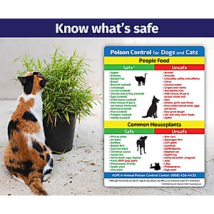 Foods and Plants Toxic to Cats and Dogs Fridge Magnets (5 Pack) - Pet Poison Control - by Safety Magnets - 5 x 7 inches