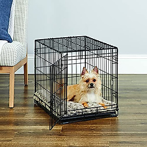New World Pet Products Crate, Folding Metal Dog Crate, Black (B24)