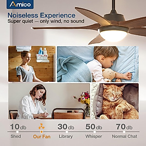 Amico Ceiling Fans with Lights, 52 inch Indoor/Outdoor Ceiling Fan with Remote Control, Reversible DC Motor, 5 Blades, 3CCT, Dimmable, Damp Rated Wooden Ceiling Fan for Bedroom, Patio, Porch