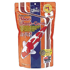 Hikari Usa Inc AHK06370 Wheat Germ 4.4lb, Medium