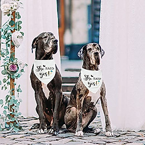 KOOLTAIL Dog Wedding Bandanas, 2 Pack Wedding Gift for Engagement Announcement Photos, Pet Scarf Accessories for Dog Lovers Bridal Show