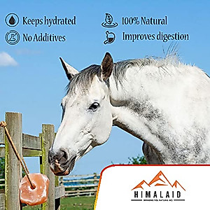 Himalaid Himalayan Salt Lick on Rope for Horses, Cattles, and Other Livestock, 6 LBS Each (3 Pack)