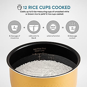 Aroma Housewares ARC-6106 Aroma Professional 6 Cups Uncooked Rice, Slow Cooker, Food Steamer, MultiCooker, Champagne