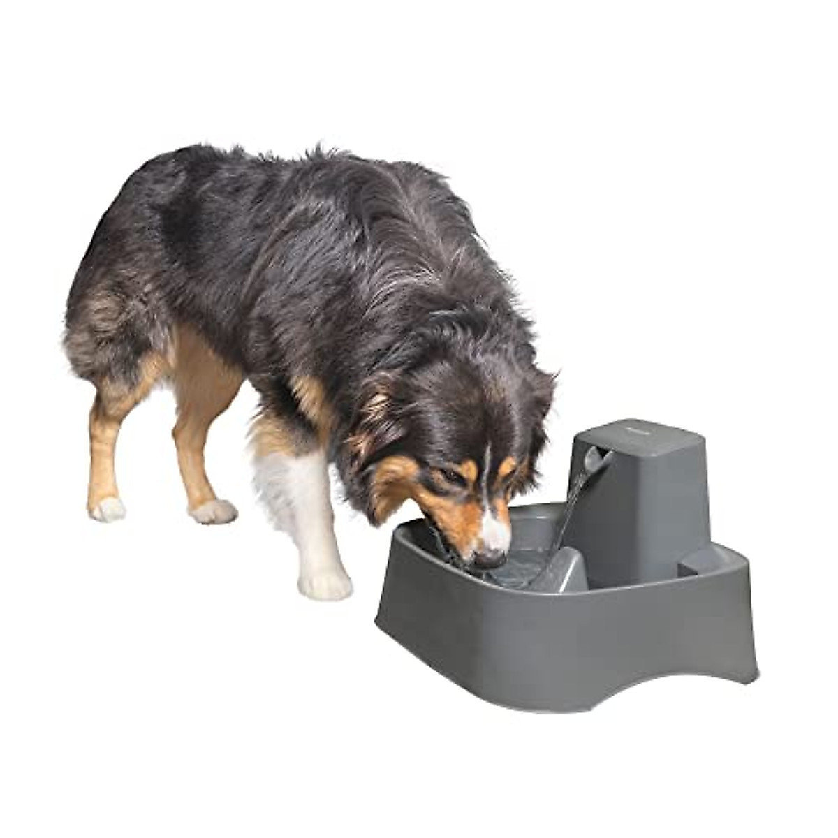 PetSafe 37016468: Drinkwell Pet Fountain 2gal