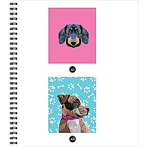 Brain Games - Sticker by Number: Puppies & Dogs - 2 Books in 1 (42 Images to Sticker)