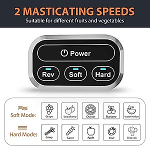 Aeitto Cold Press Juicer, Juicer Machines, Slow Juicer with 3 Inch Wide Chute, 2-Speed Modes & Reverse Function, Masticating Juicer with Brush Easy to Clean for Fruit and Vegetable (Sliver)