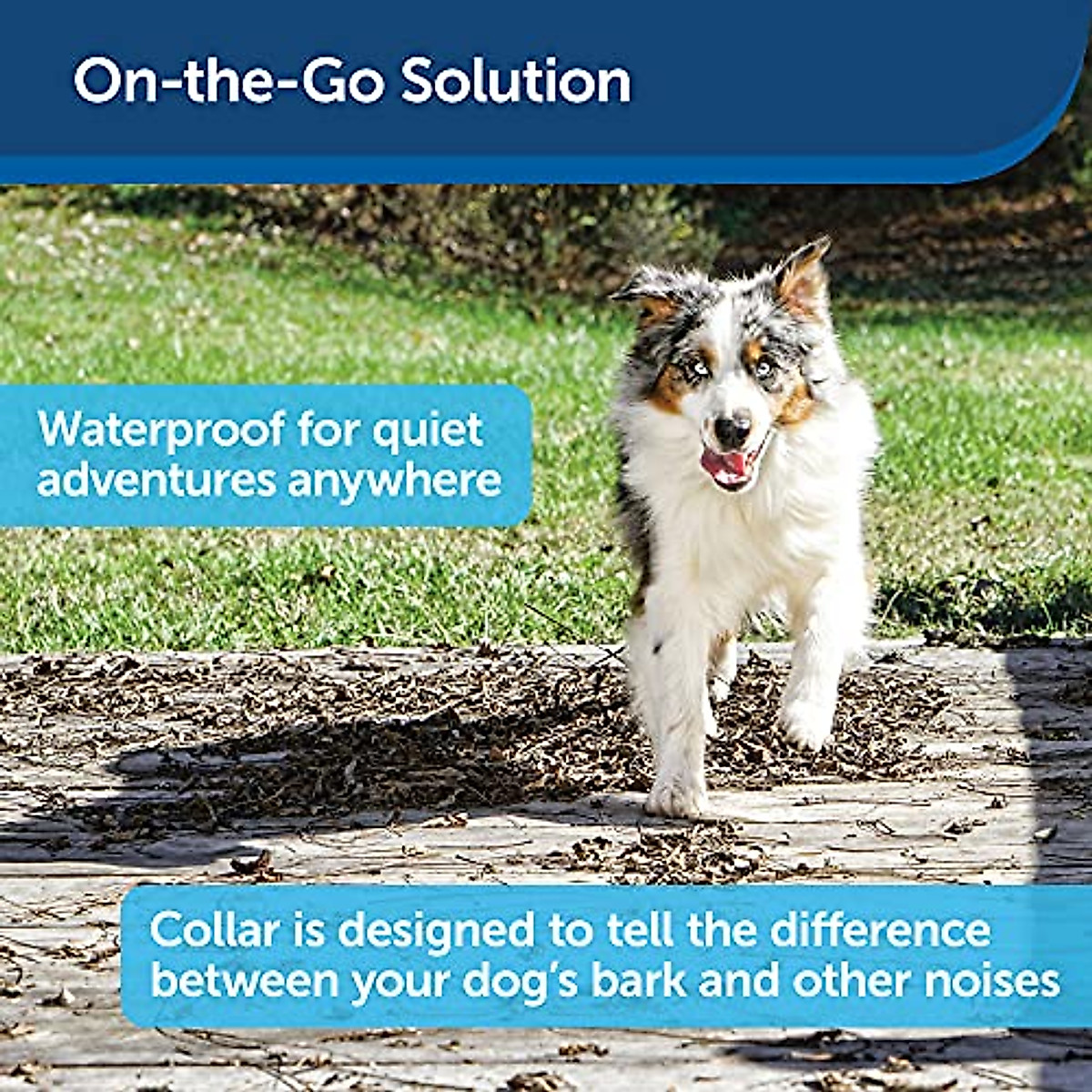 PetSafe Basic Bark Control Collar for Dogs 8 lb. and Up, Anti-Bark Training Device, Waterproof, Static Correction, Canine - Automatic Dog Training Collar to Decrease Barking, PBC-102