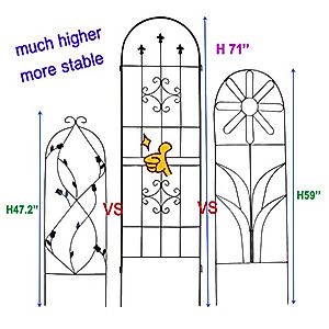 eLeGreen 2 Pack Metal Garden Trellis for Climbing Plants 19.7''x 71'' Rustproof Metal Rose Trellis Vines Peas Support Plant Stand Black