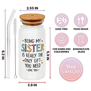 Sisters Gifts from Sister, Brother - Gifts for Sister - Sister Birthday Gift Ideas, Birthday Gifts for Sister - Sister Christmas Gifts, Christmas Gifts for Sister - Big Sister Gift - 16 Oz Can Glass