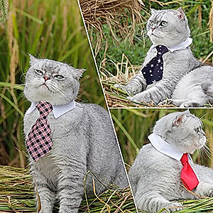 4 Pieces Pets Dog Cat Bowtie Pet Costume Adjustable Formal Necktie Collar for Cats Small Dogs Puppy Grooming Accessories