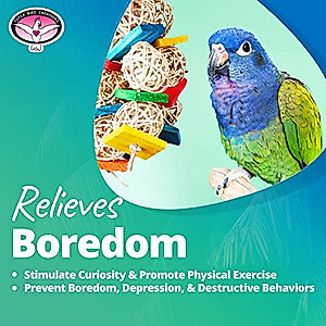 Super Bird Creations SB480 Starburst Bird Toy, Medium Bird Size, 10" x 4"