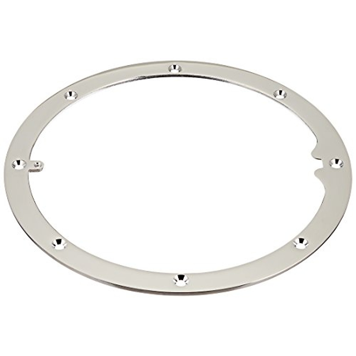 Pentair 79200100 8-Hole Liner Sealing Ring Replacement Large Stainless Steel Niches