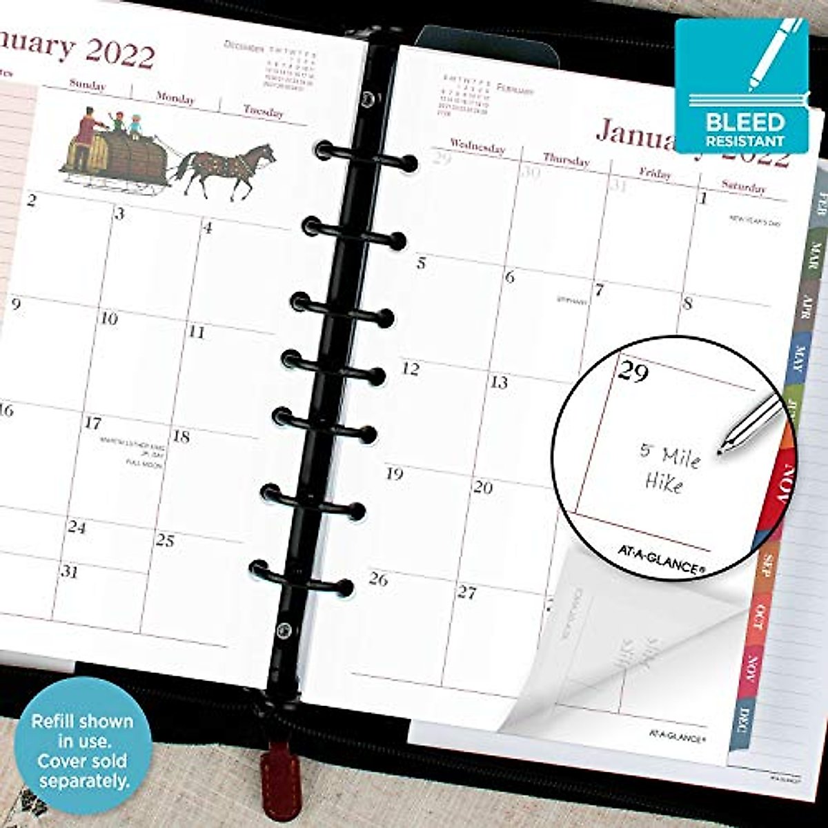 2022 Monthly Planner Refill by AT-A-GLANCE, 5-1/2" x 8-1/2", Desk Size, Loose-Leaf, Charles Wysocki (CW81-685)