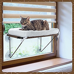 LSAIFATER Cat Window Perch with Supported Under Metal, Cat Hammock with Spacious and Comfortable Pet Bed for Kittens & Large Cats, Cat Gifts for Your Beloved Cat