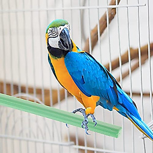 POPETPOP Bird Cage Perch Plastic Parrot Branch Stand Parrot Cage Hanging Toys for Small Conures Macaws Parakeets Parrots Love Birds Finches Green 10PCS