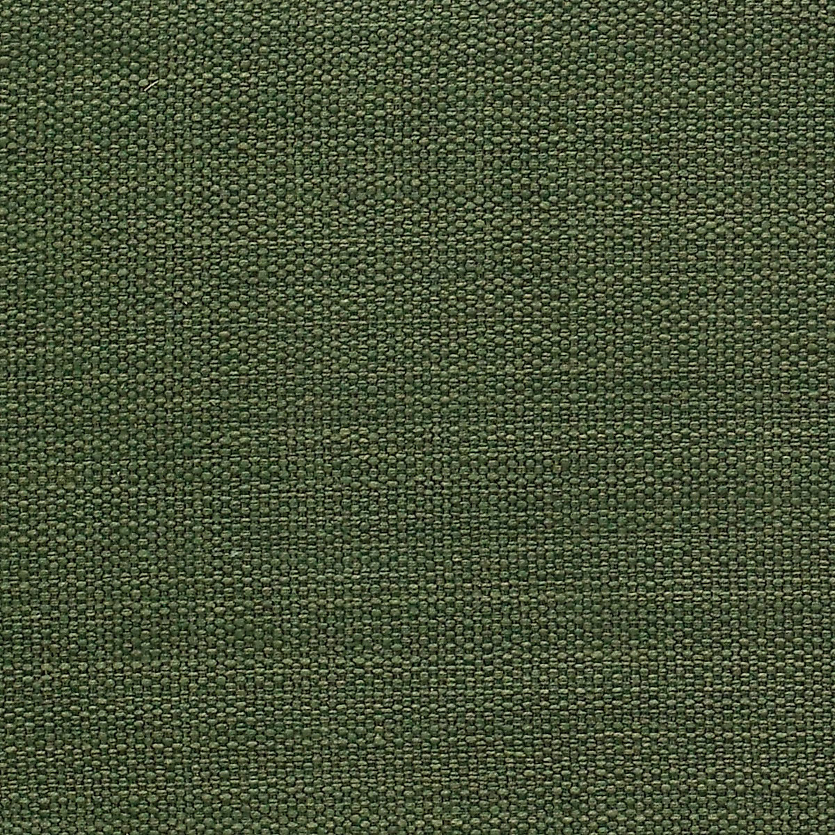 Park Designs Green Casual Classics Placemat Set of 4