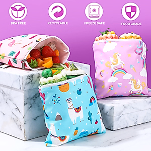 Chumia 6 Pieces Reusable Snack Sandwich Bags School Lunch for Kid Students Adults Large Snack Pouch Zipper Cartoon Washable Bags for Food 7 x 7 Inch