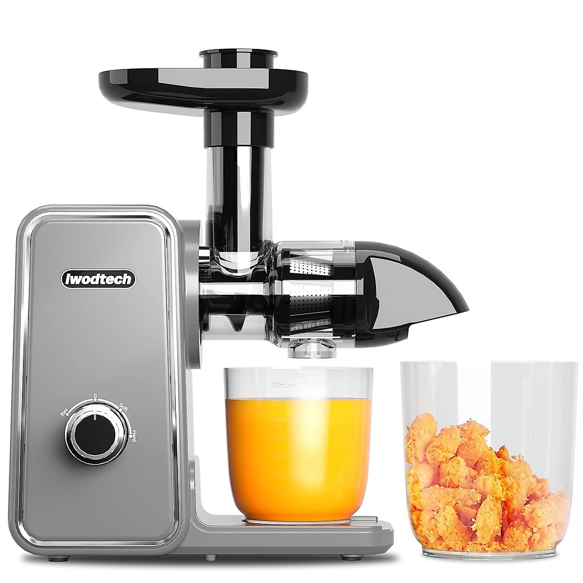 IWODTECH Juicer Machine, Cold Press Juicer with 2 Speed Modes, Slow Masticating Juicer Vegetable and Fruit, Celery Juicer, BPA-Free, Easy to Clean, Galaxy Grey
