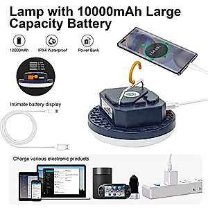 UV Flashlight Camping Light , IODOO 10000mAh 48 LED UV Floodlight 3000LM White Light Pet Urine Detector for Dog/Cat Urine, Dry Stains, Bed Bug