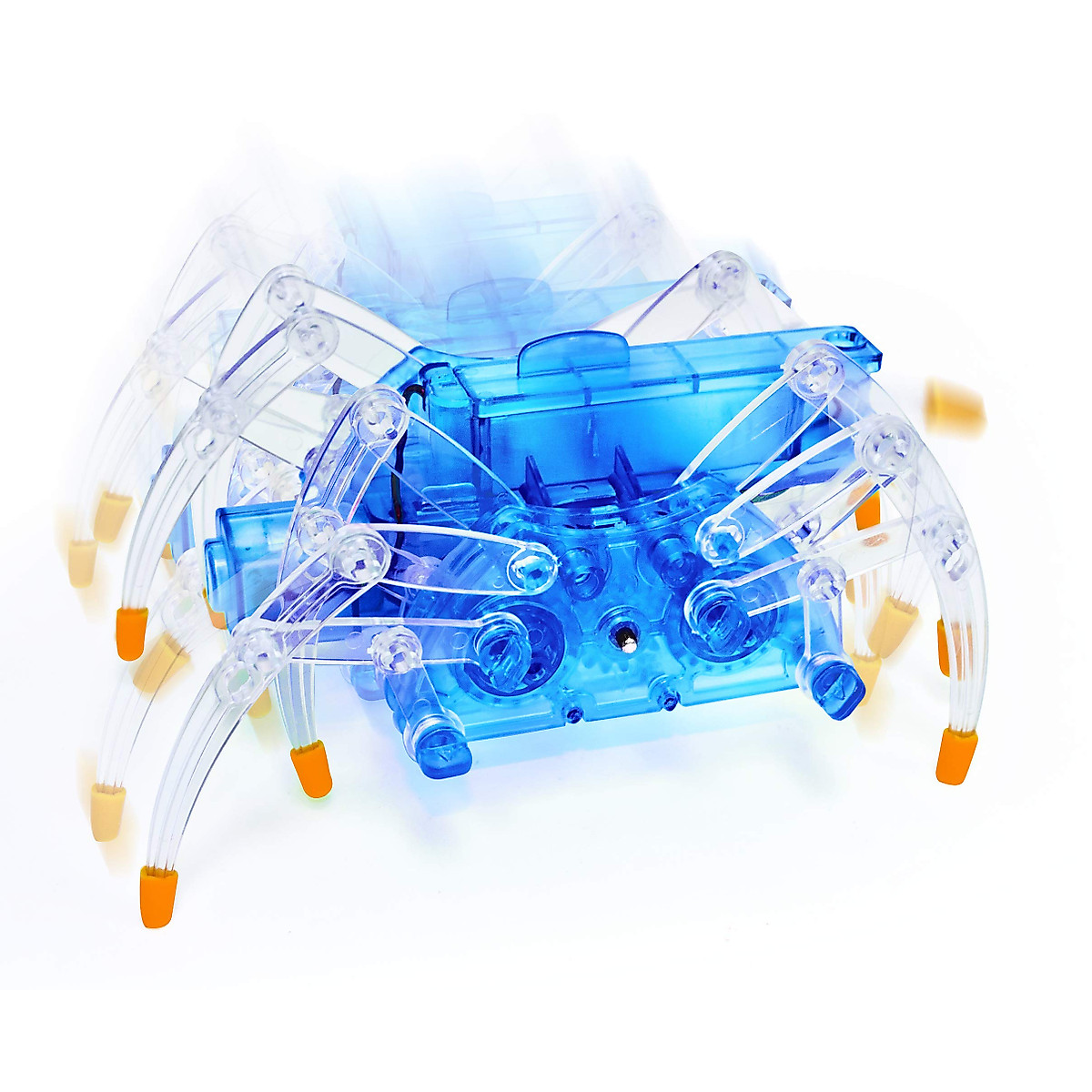 Smithsonian Science Activities Robo Spider Kit, Blue
