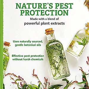 Natural Care Flea and Tick Dog Shampoo | Flea Treatment for Dogs | Flea Killer with Certified Natural Oils | 12 Ounces