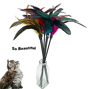 CATENESS Cat Wand Toy Feather Stick Cat Toys, 6 PCS Cat Feathers Wand Toy, Interactive Cat Toy Feather Wand for Indoor Cats