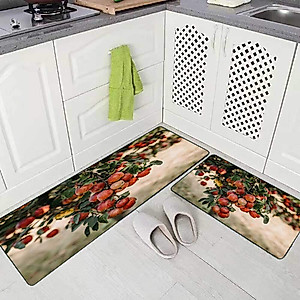 Fullentiart Kitchen Rugs and Mats,Comfort Kitchen Rugs Kitchen Rugs Non Skid Washable Rug Kitchen Floor Red Apple Tree in Autumn Fruit Garden 2 Pieces 17X48+17X24 Inches