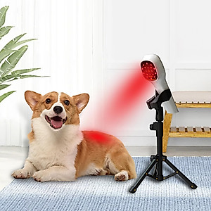 LASWHGDPET Cold Therapy for Dogs - Infrared Red Light Therapy Device with Adjustable Stand, 4X808 nm &14 x650nm Therapy Device for Pain Relief Arthritis, Spinal and Promote Blood Circulation