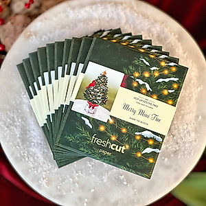 Freshcut Paper Pop Up Cards, Merry Mini Tree, 7 inch Mini Sized Paper Christmas Tree 3D Popup Greeting Cards, Christmas Card, Holiday Card, Blank Notecards & Envelopes, Pack of 5