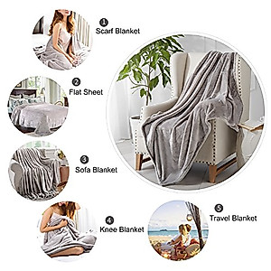 Reafort Ultra Soft Flannel Fleece All Season Light Weight Living Room/Bedroom Warm Blanket (Silver Grey, Throw 50"X60")
