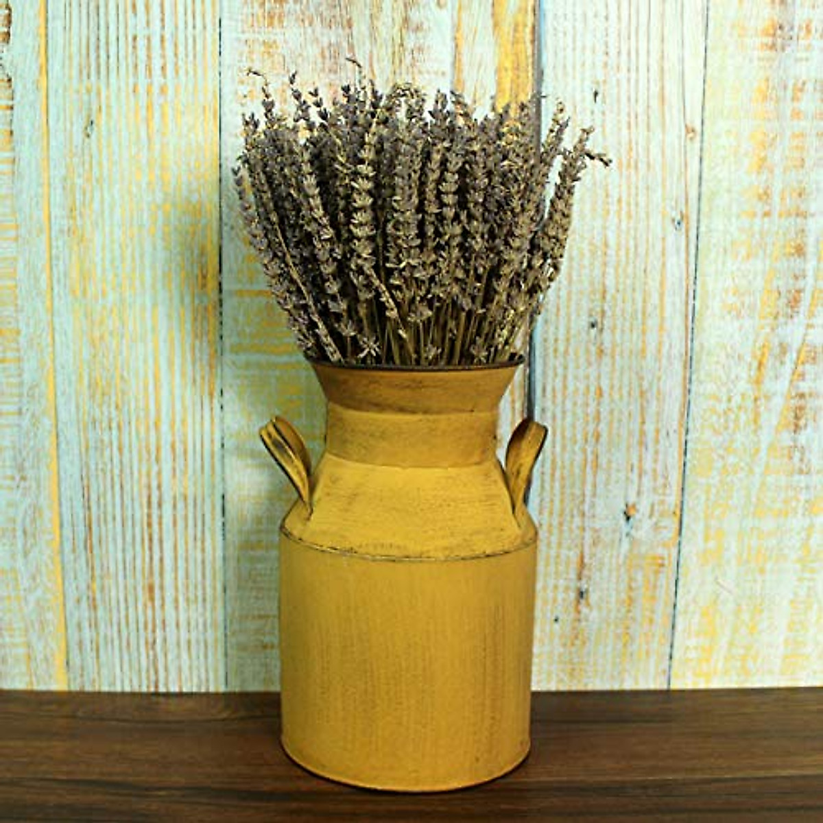 CVHOMEDECO. Galvanized Metal Milk Can, Old Rustic Primitives Jug Vase for Home and Garden Décor. Rusty